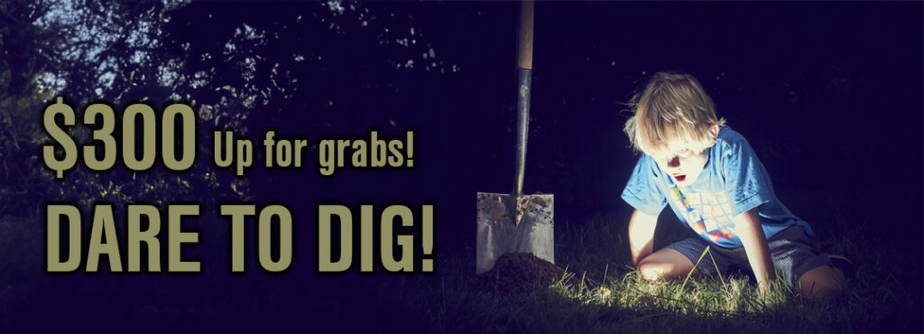 DARE TO DIG – North Carolina 811